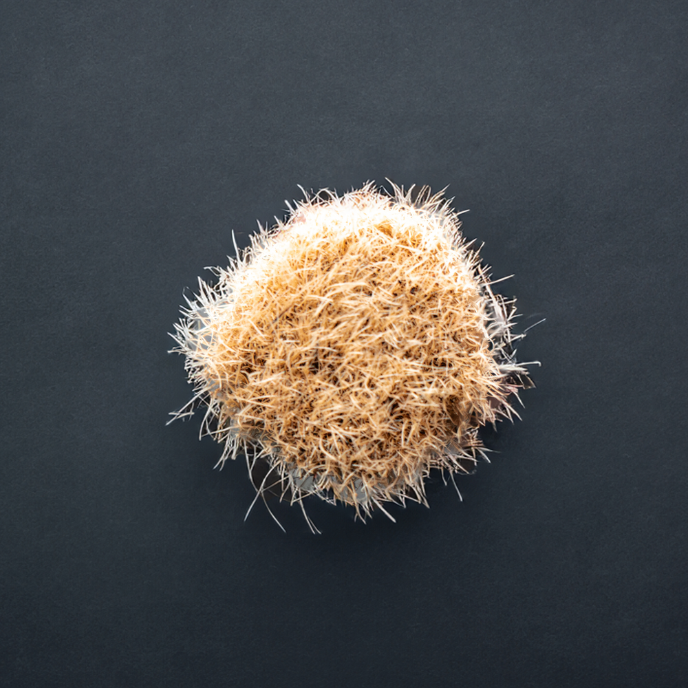 BLACKLINE® LEATHER KIT